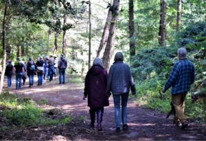Redwood Coast Land Conservancy | Protecting natural environments for the future