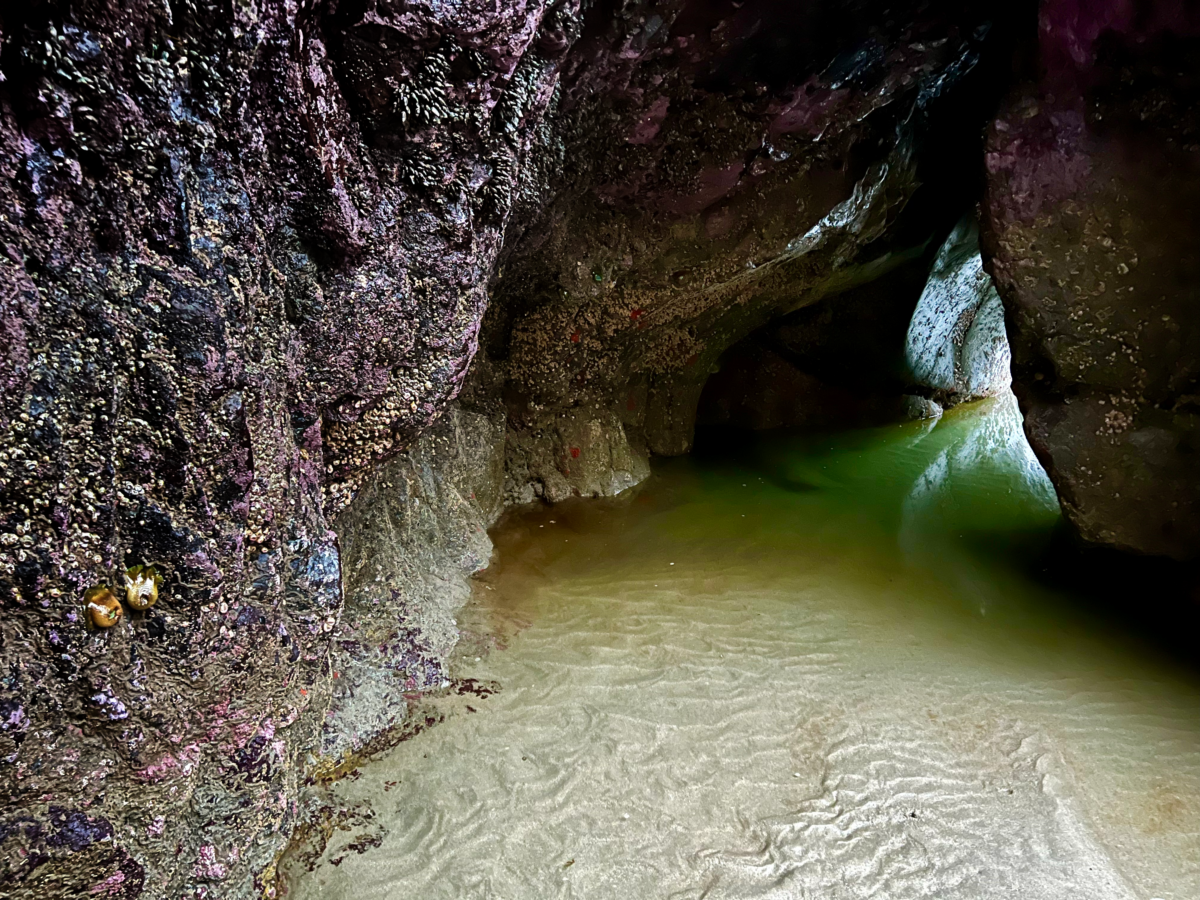 Cooks Beach – rclc.org