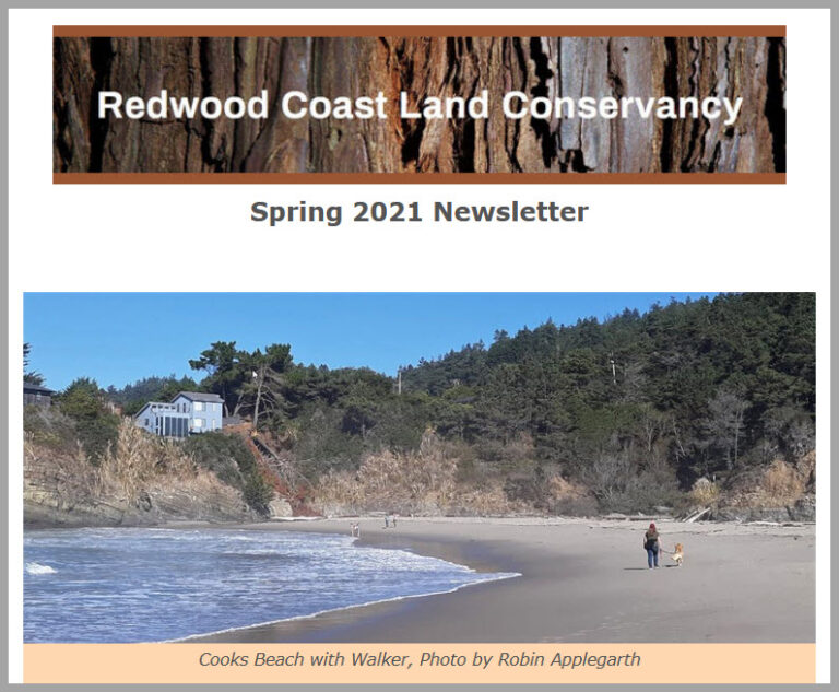 Newsletters – rclc.org