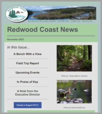 Newsletters – rclc.org