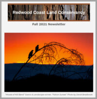 Newsletters – rclc.org