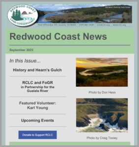 Newsletters – rclc.org