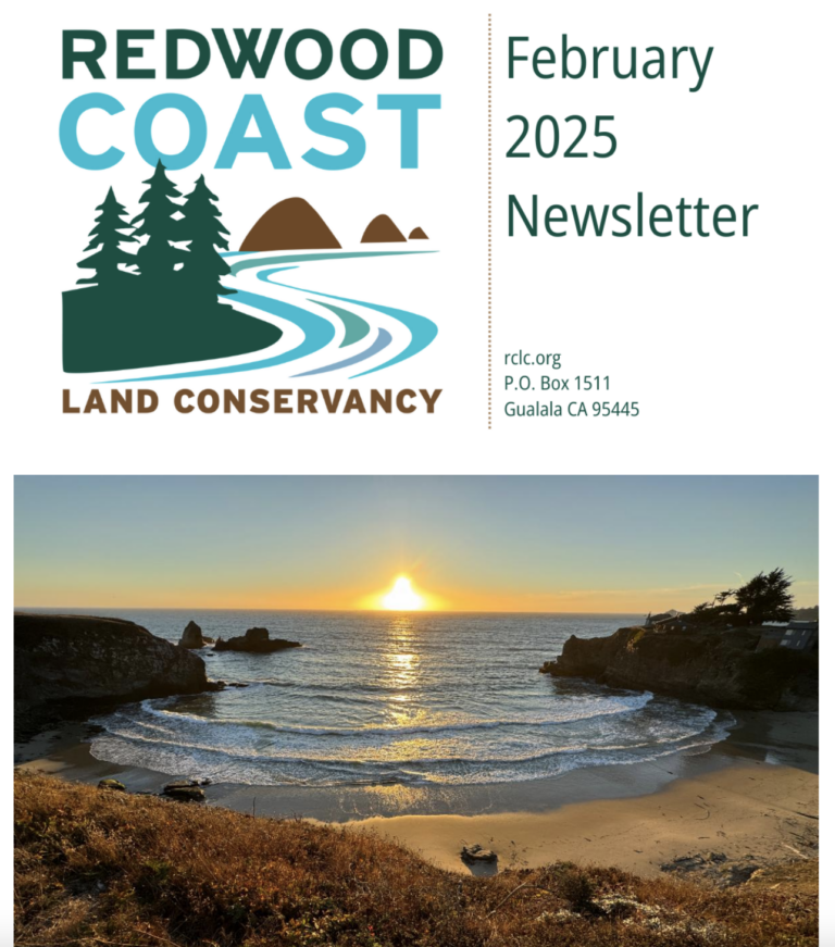 Newsletters – rclc.org