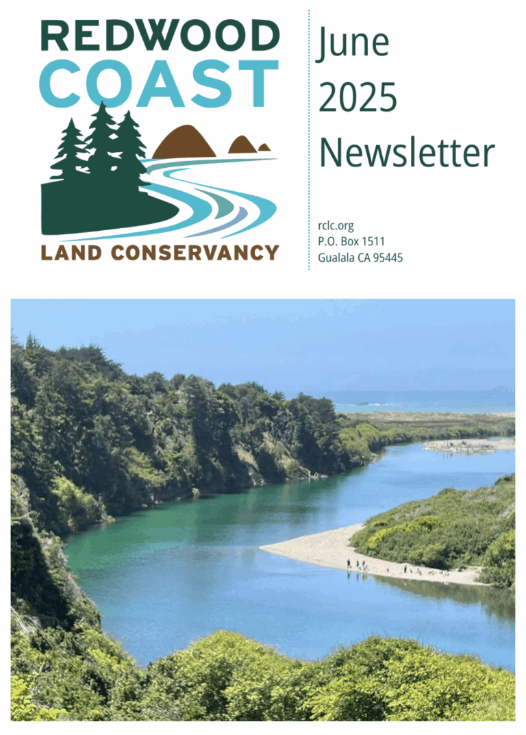 News and Events – rclc.org